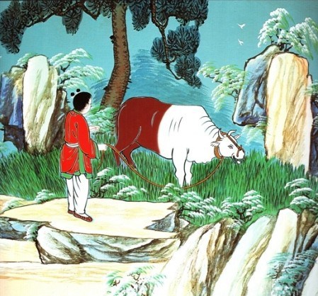 The 10 Ox Herding Pictures Q&A - Chong An Sunim - Ordinary Zen Sangha